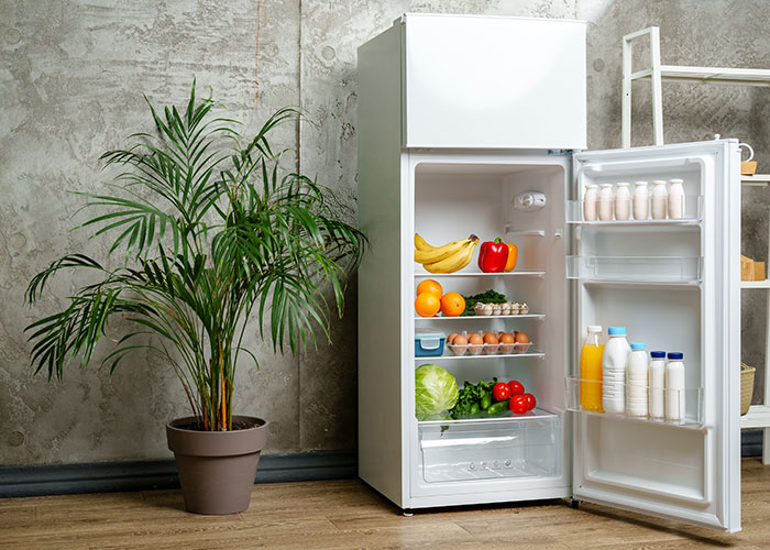 Características de refris de dos puertas l Refrigeración NER ...